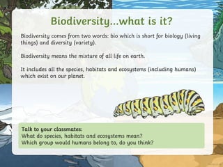 biodivesity ppt for environment science.pptx