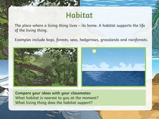 biodivesity ppt for environment science.pptx