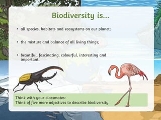 biodivesity ppt for environment science.pptx