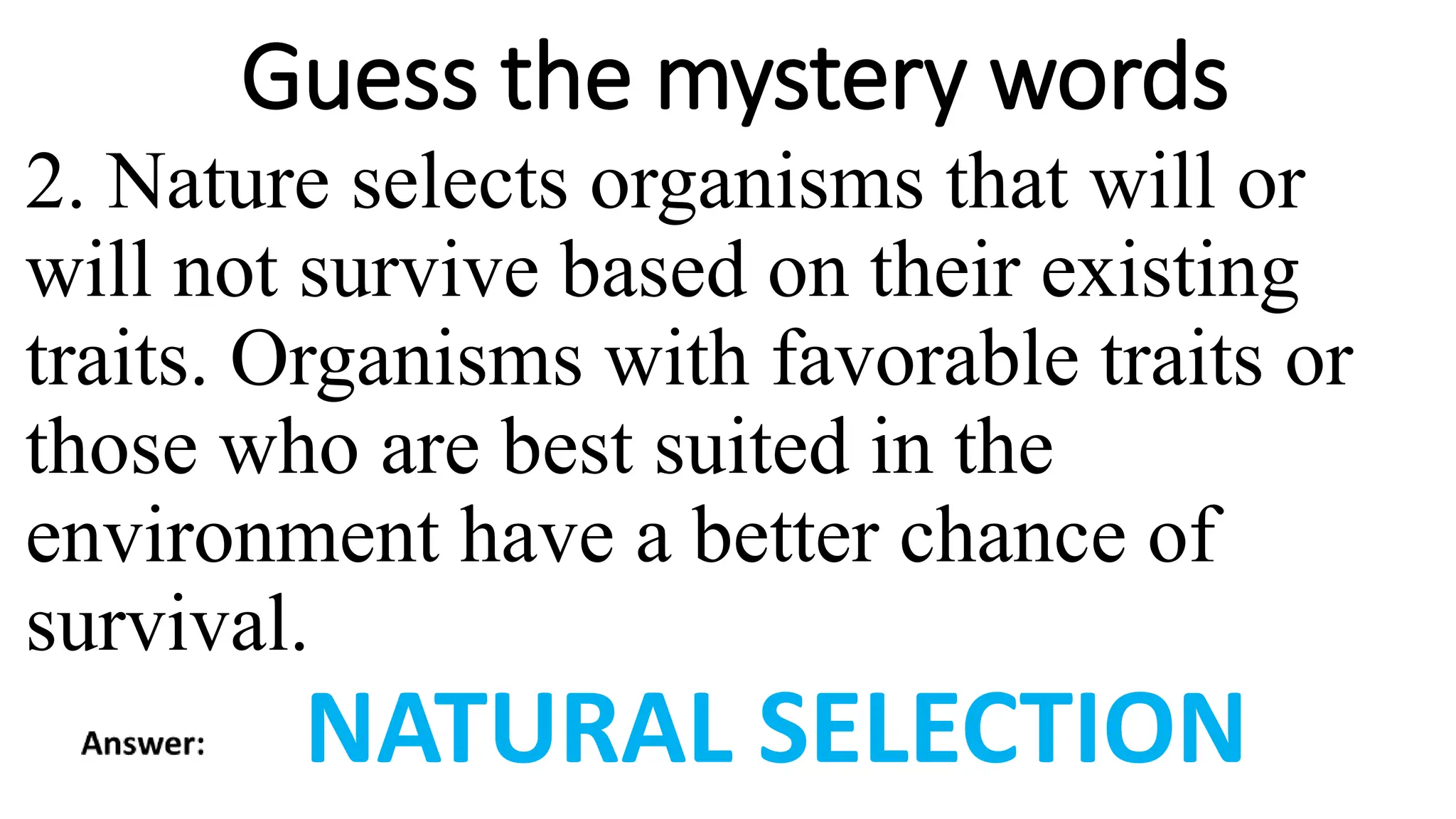 Group 6 presentation.pptx