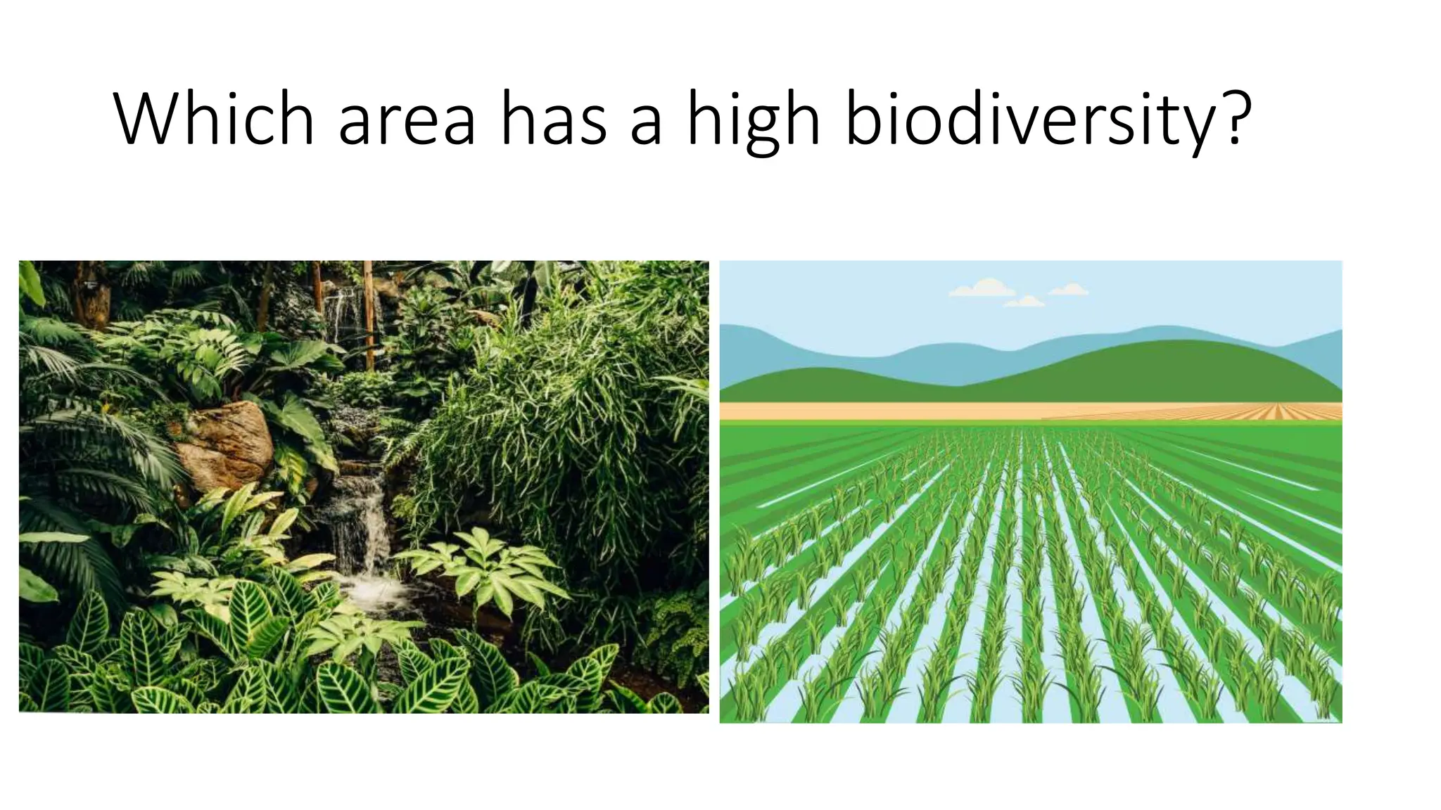 Group 6 presentation.pptx