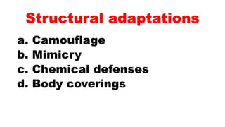 Group 6 presentation.pptx