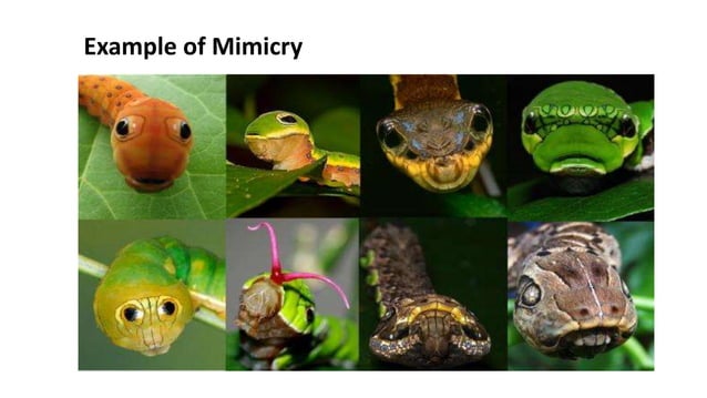 Group 6 presentation.pptx