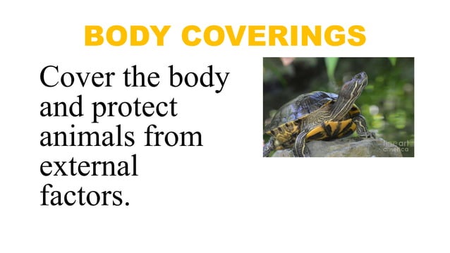 Group 6 presentation.pptx