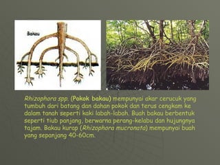 Bio d l1_introduction to biod_note | PPT