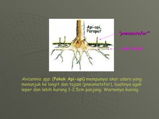 Bio d l1_introduction to biod_note | PPT