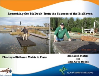 BioDocks Presentation 2010-10-20 | PPS