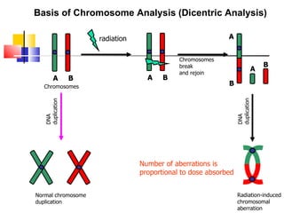 Biodosimetry | PPT