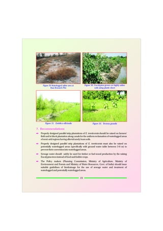 Biodrainage | PDF