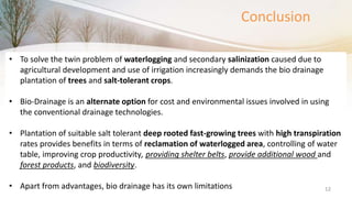 Biodrainage ppt | PPT