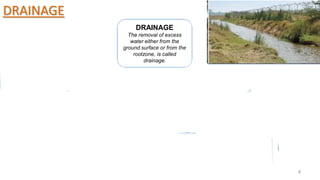 Biodrainage ppt | PPT