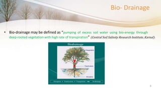 Biodrainage ppt | PPT