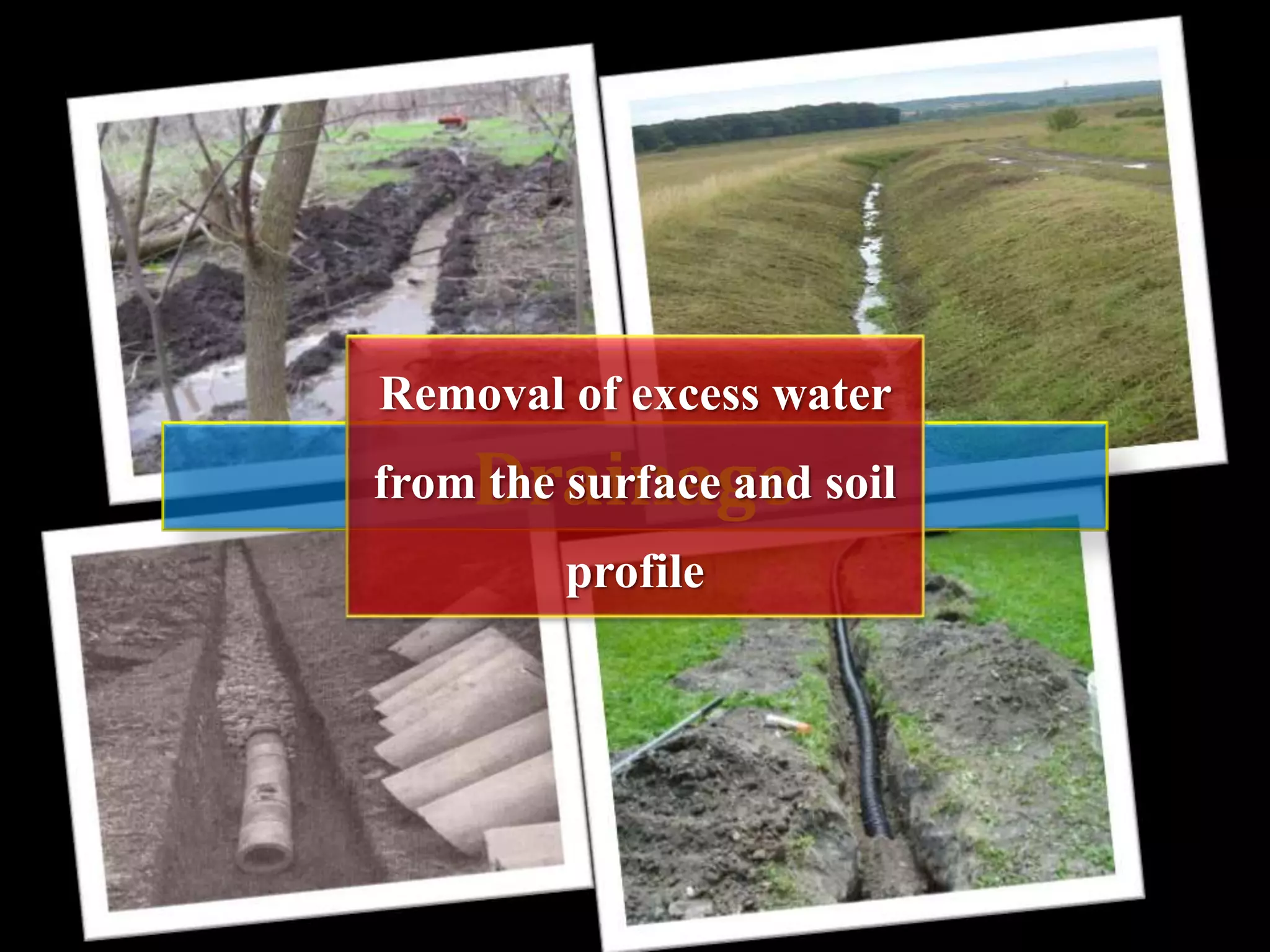 Bio-drainage trenches for management of water log soil for enhancing ...
