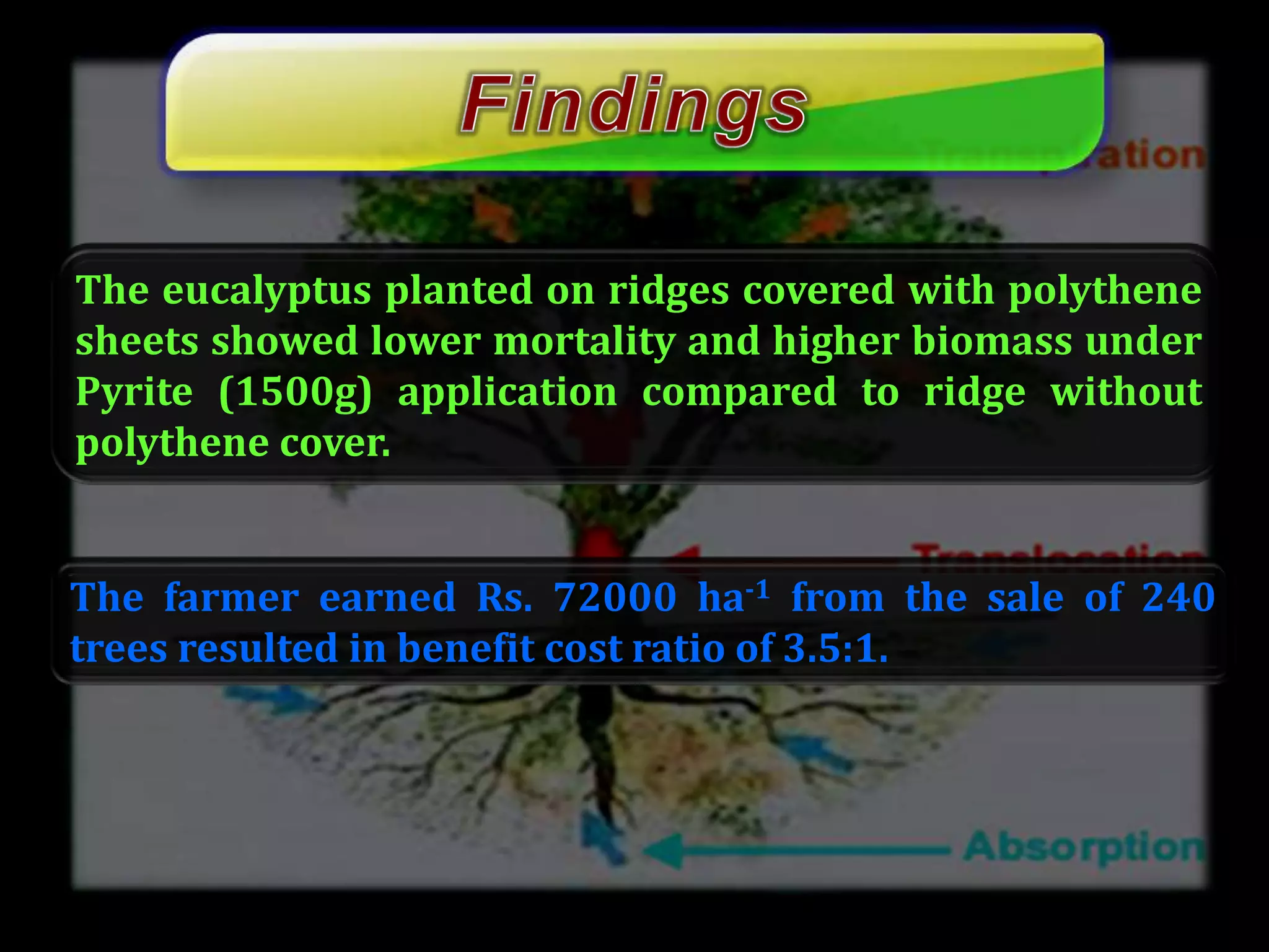 Bio-drainage trenches for management of water log soil for enhancing ...