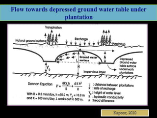 Bio-drainage trenches for management of water log soil for enhancing ...