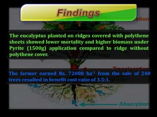 Bio-drainage trenches for management of water log soil for enhancing ...