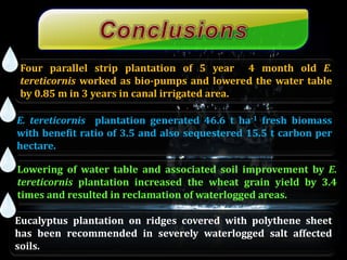 Bio-drainage trenches for management of water log soil for enhancing ...