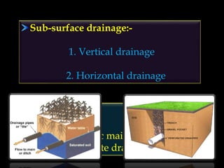 Bio-drainage trenches for management of water log soil for enhancing ...