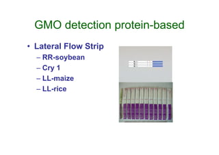 Biodsafety Regulation and GM Food Detection in Indonesia | PDF