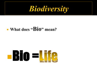 Biodiversity | PPT