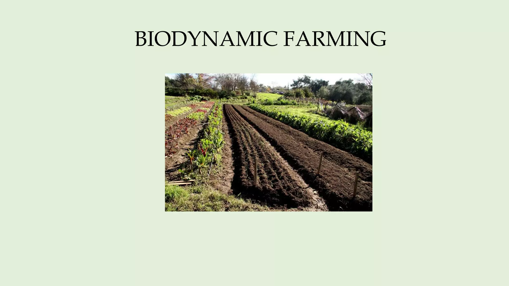 Biodynamic Agriculture | PPTX