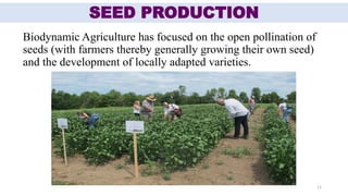 Biodynamic farming: Working with the energies to create and maintain ...