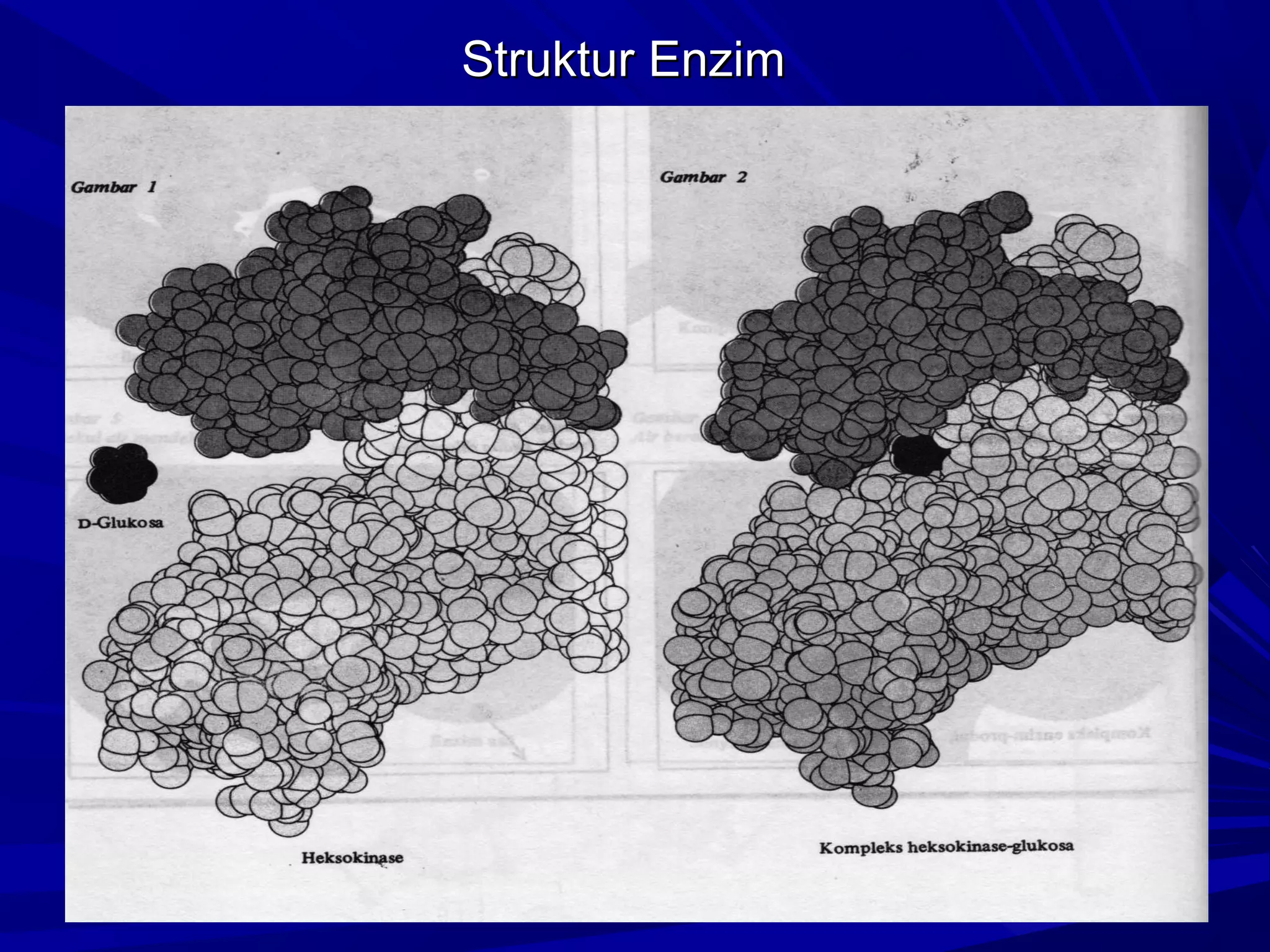 Bio enzim (modul biologi molekular) | PPT