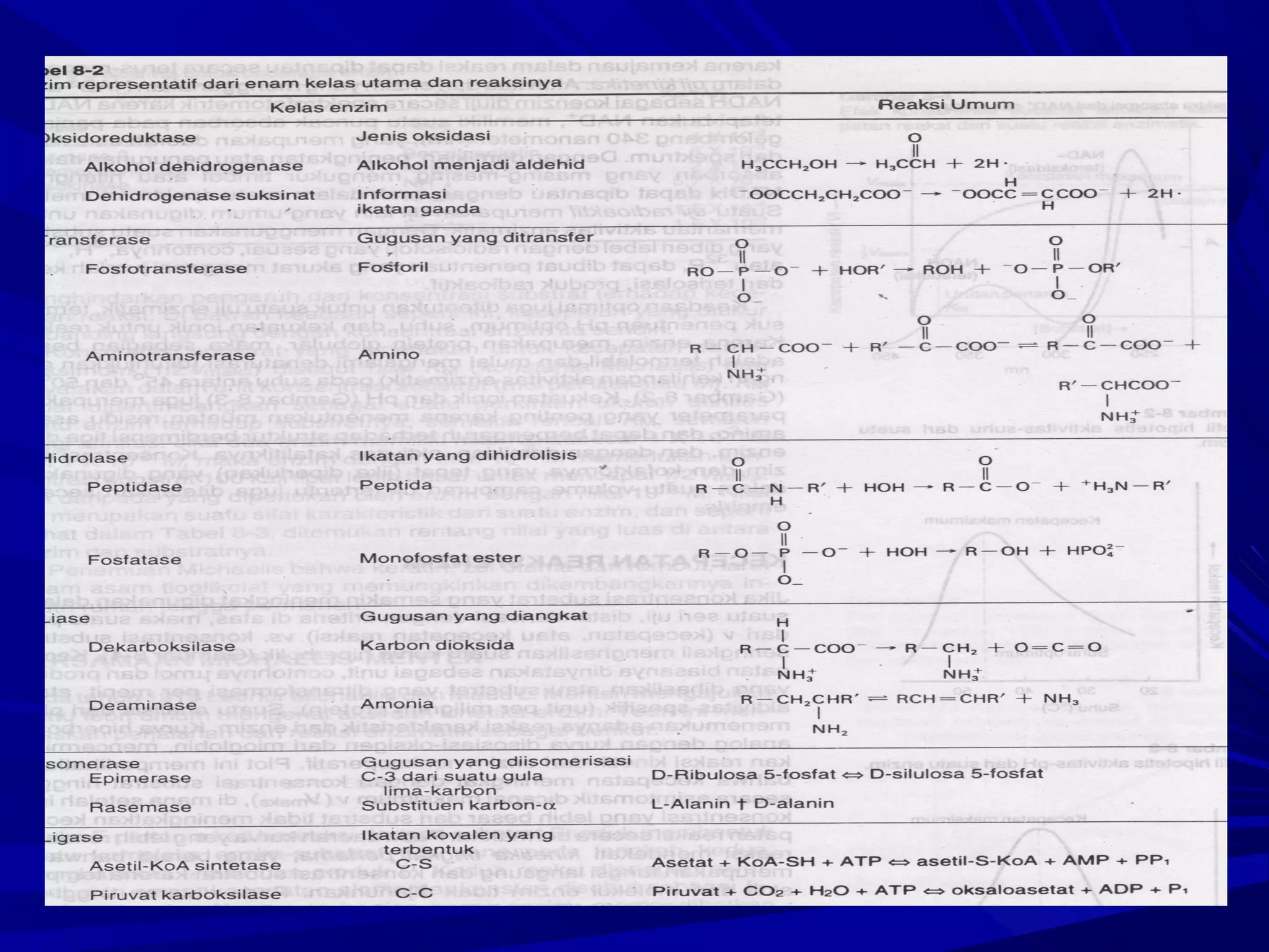 Bio enzim (modul biologi molekular) | PPT