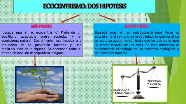 BIOCENTRISMO, ECOCENTRISMO Y ANTROPOCENTRISMO