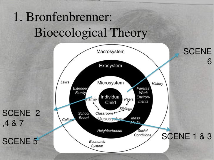 Bioecological Theory