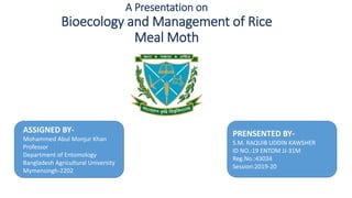 Bioecology and management of rice meal moth | PPTX