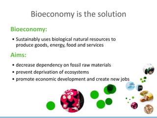 Sustainable growth from bioeconomy - The forest bioeconomy perspective ...