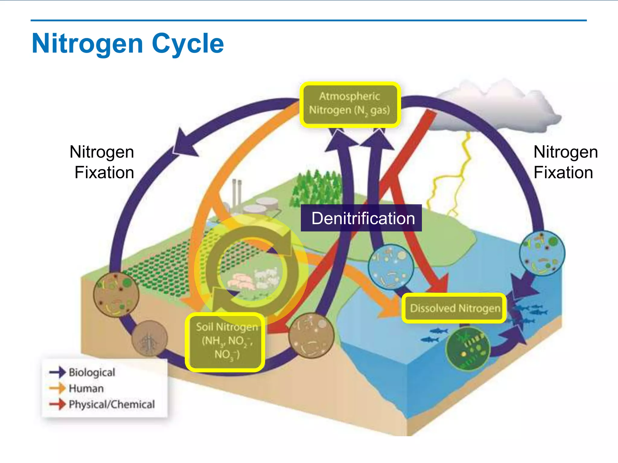 BIO_ECOS_L03_Editable_Presentation.ppt