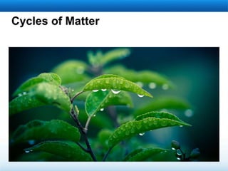 BIO_ECOS_L03_Editable_Presentation.ppt