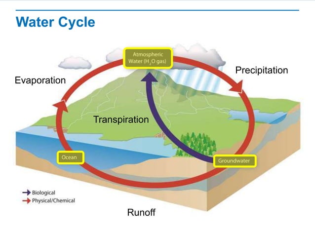 BIO_ECOS_L03_Editable_Presentation.ppt
