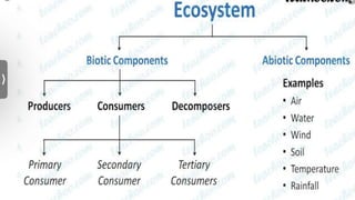 bio ecosystem.pptx