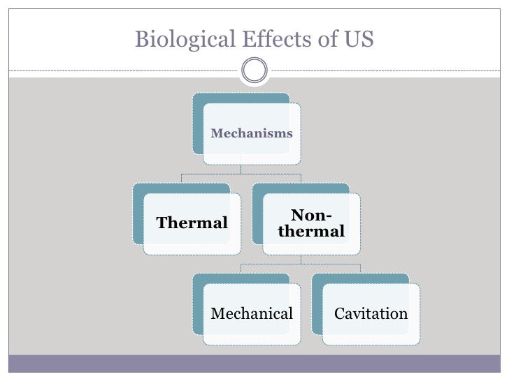 Bioeffect Of Ultra Sound