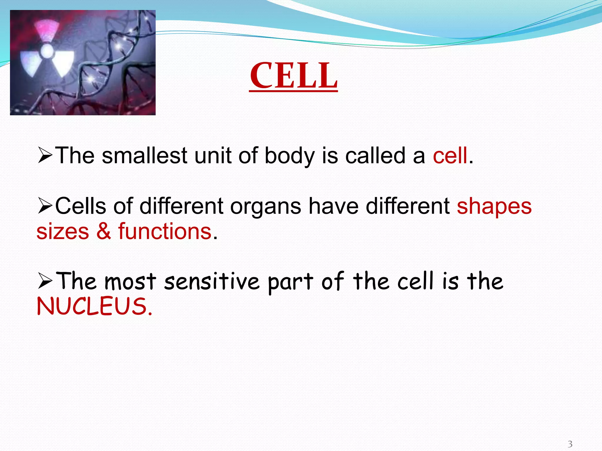 Biological effects of radiation | PPTX