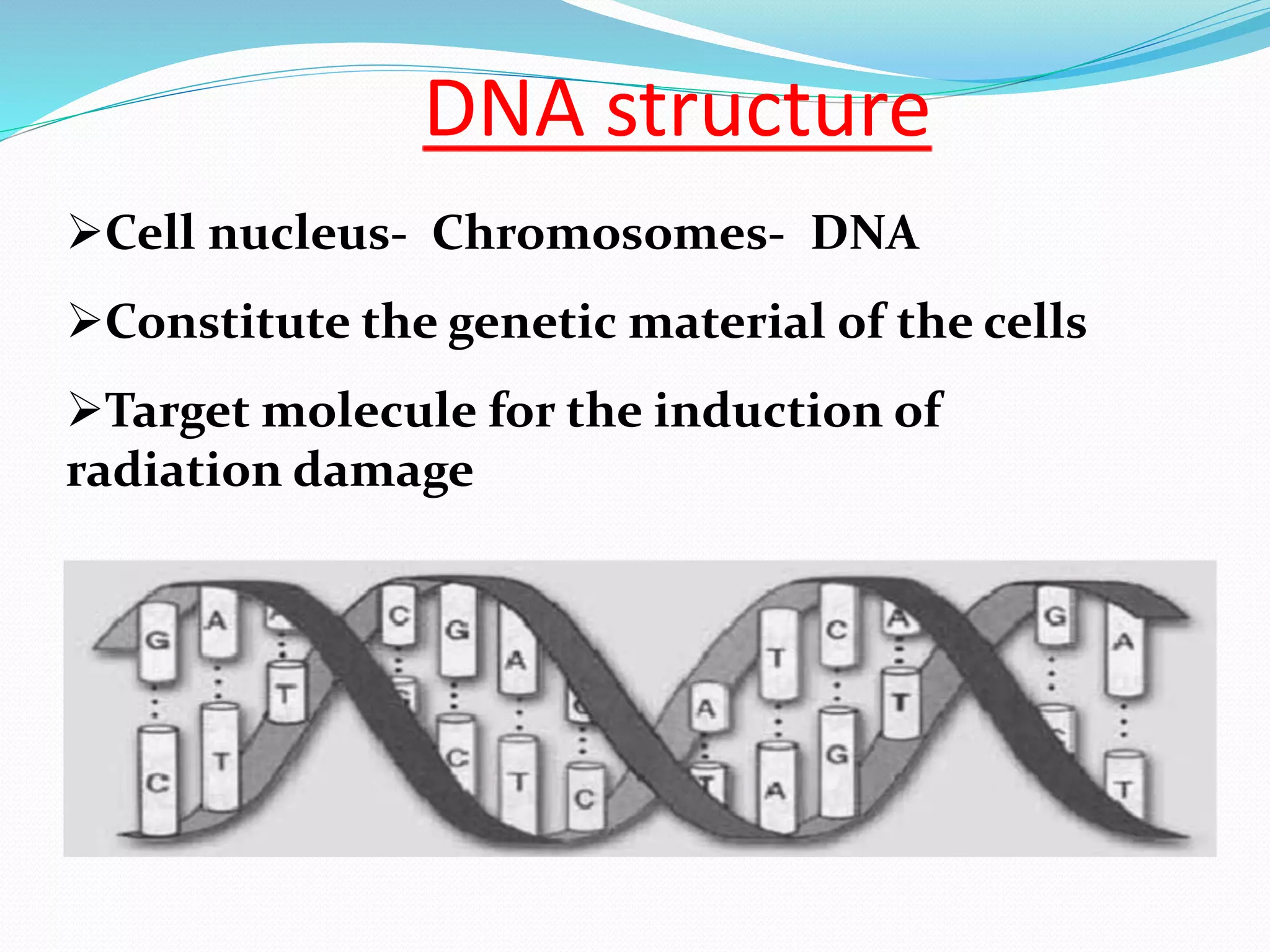Biological effects of radiation | PPTX