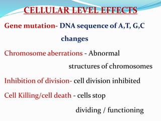 Biological effects of radiation | PPTX