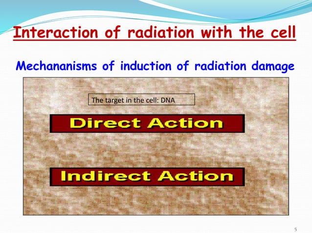 Biological effects of radiation | PPTX