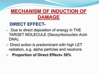 Biological effects of radiation | PPTX