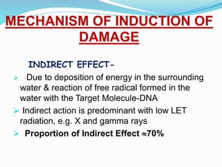 Biological effects of radiation | PPTX