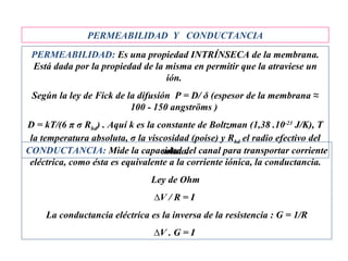 Bioelectricidad | PPT