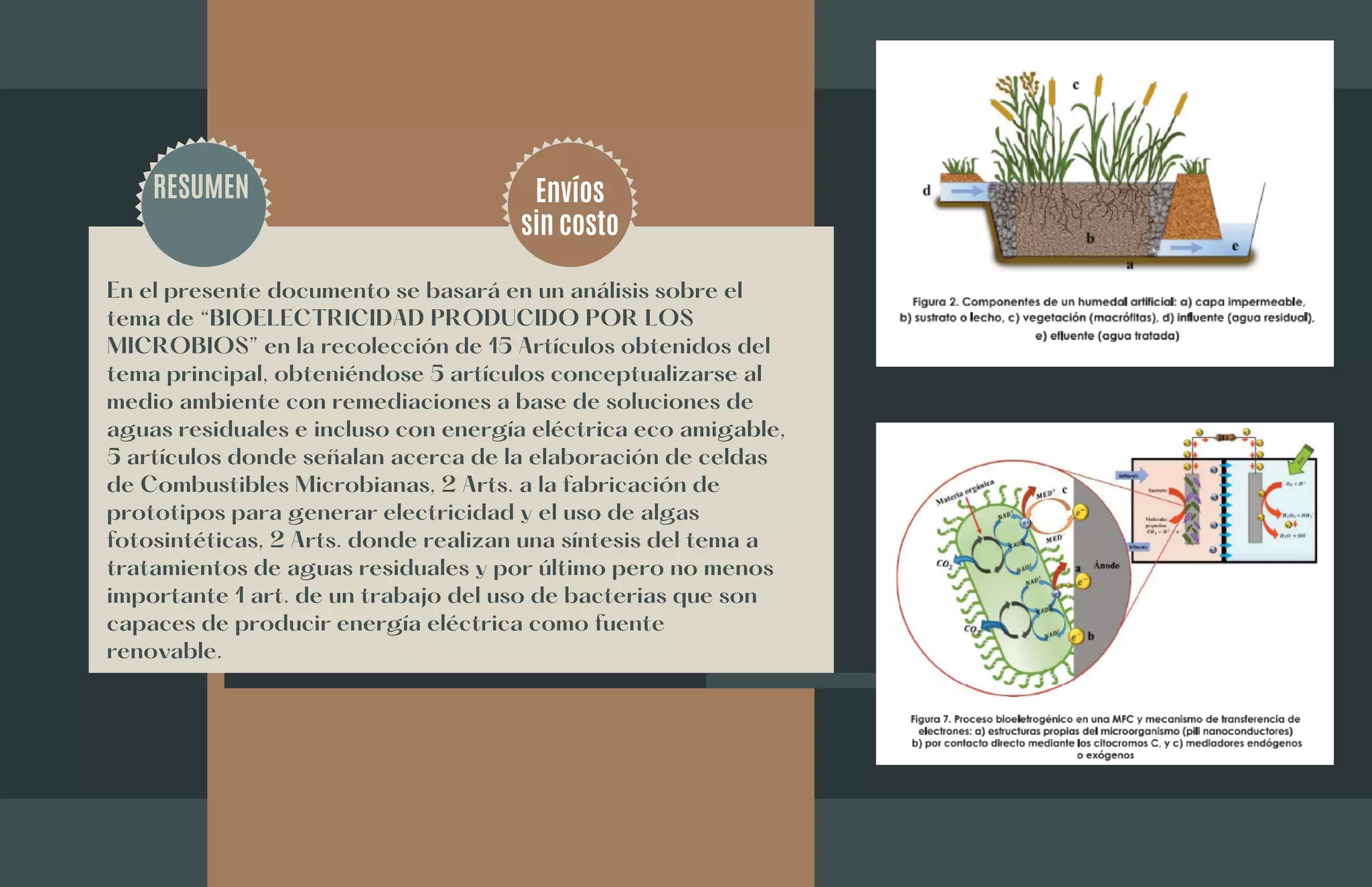 Bioelectricidad producida por microbios.pdf | Power and Energy Industry ...