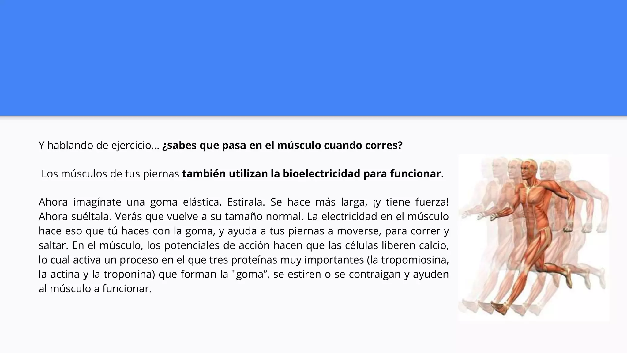 Bioelectricidad y representacion grafica del sistema electrico del ser ...