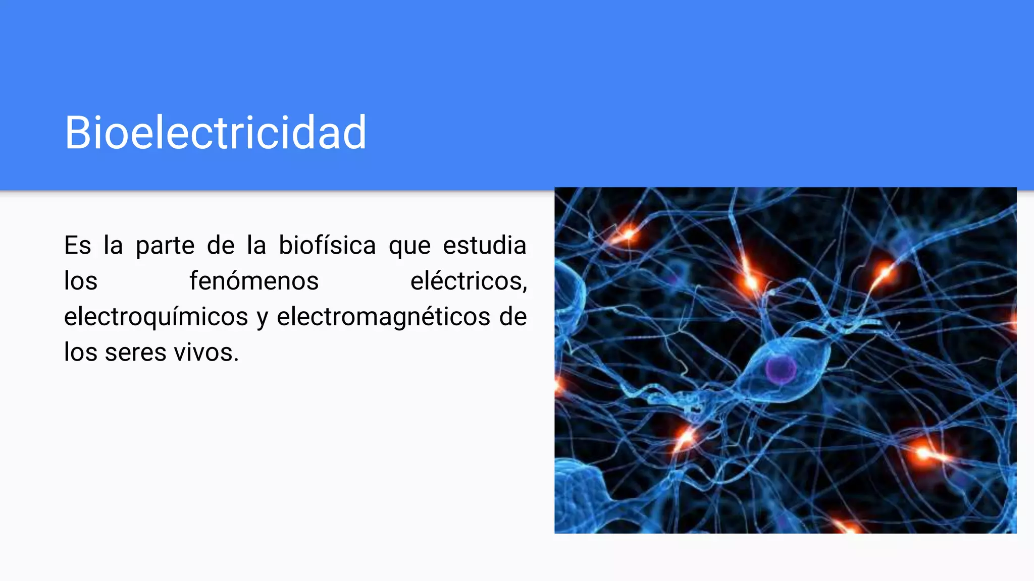 Bioelectricidad y representacion grafica del sistema electrico del ser ...