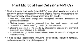 Bioelectricity_Undergraduate level .pptx