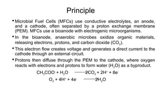 Bioelectricity_Undergraduate level .pptx