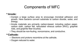 Bioelectricity_Undergraduate level .pptx